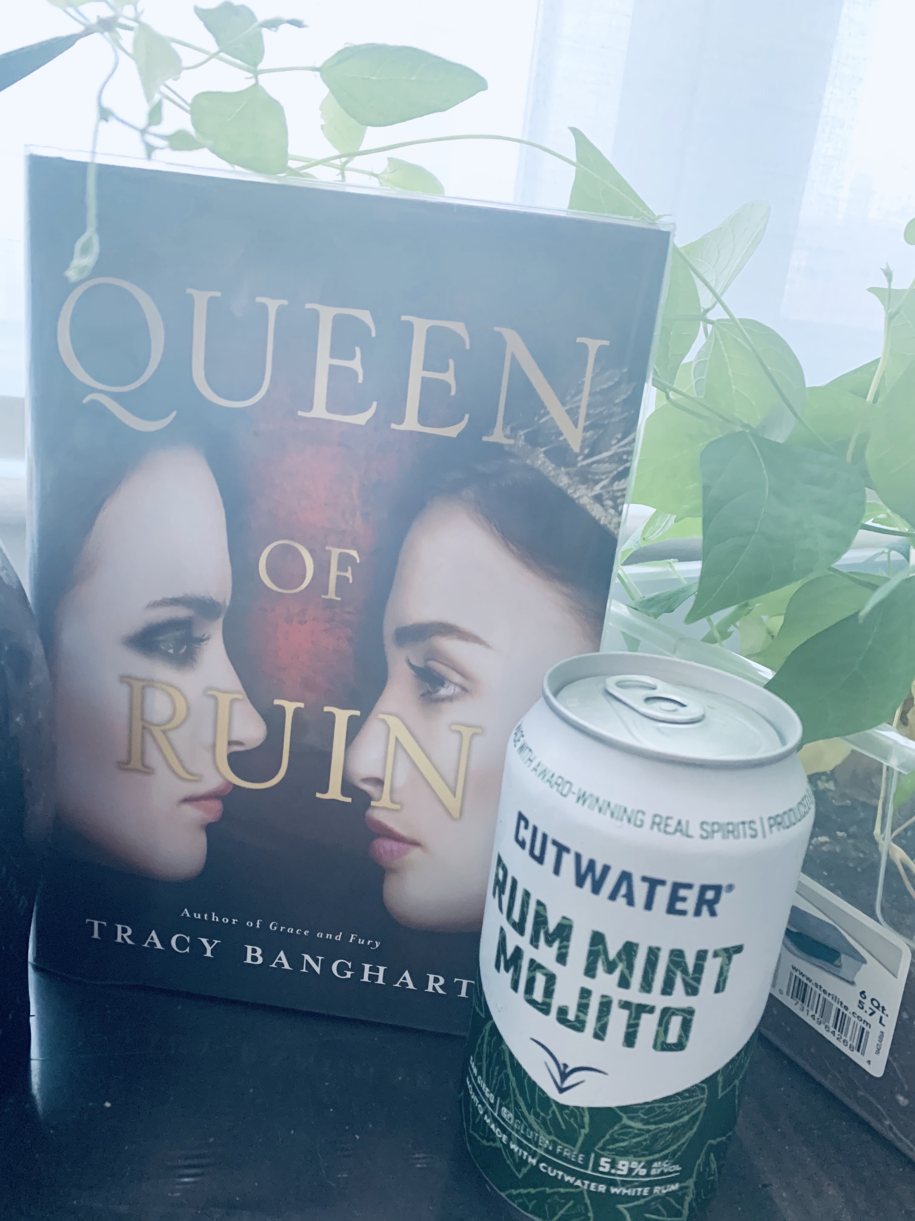 YA Summer Reads – The Elegant Editor